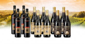Vendita vino online, vini italiani online | Giordano Vini