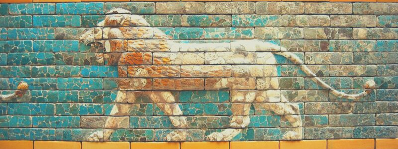 5 curiosità per conoscere meglio il Syrah | Blog | Giordano Vini